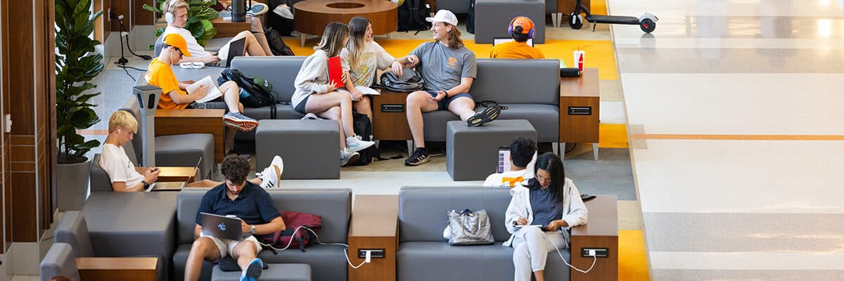 Volunteers at Work: How Serving in Professional Organizations Supports ...